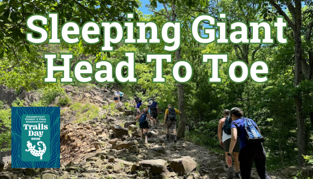 CT Trails Day - Head to Toe Hike - Sleeping Giant Park Association